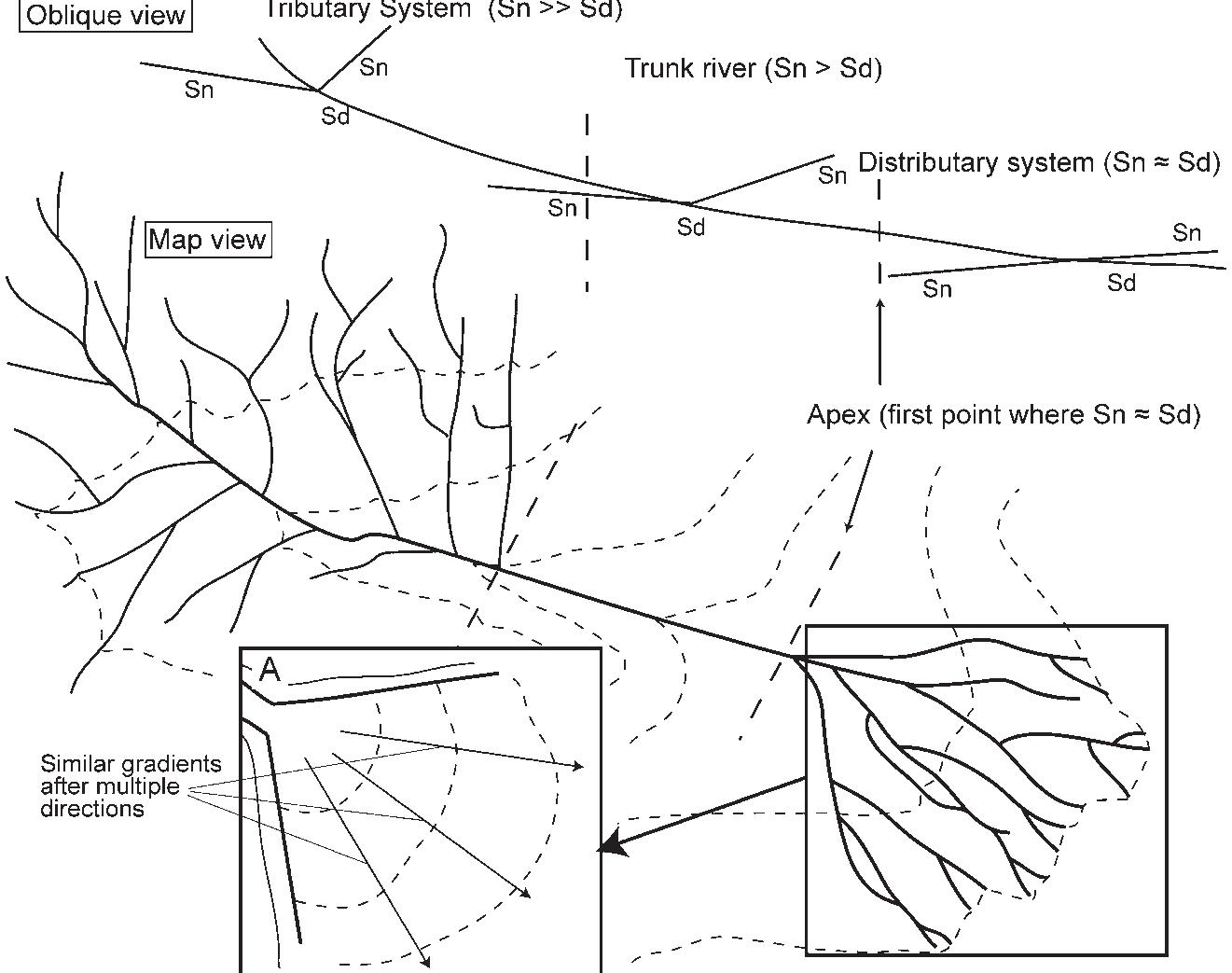 Fic. 3.—sketch with formation of distributary systems due to