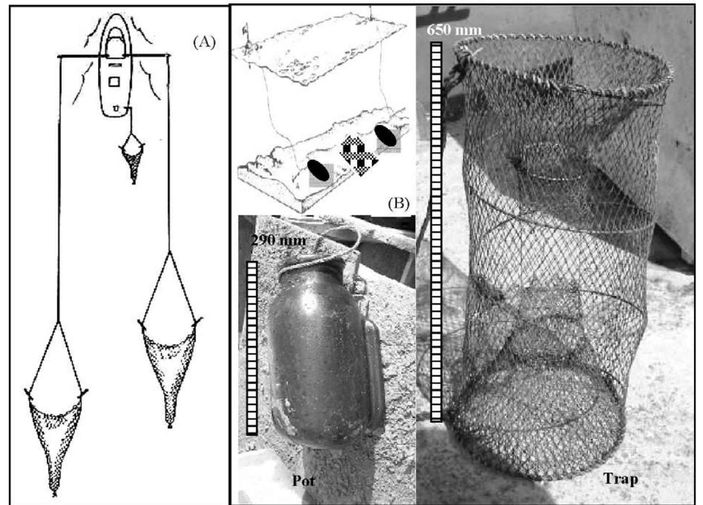 Illustration of the fishing gear: double-trawl (a) and