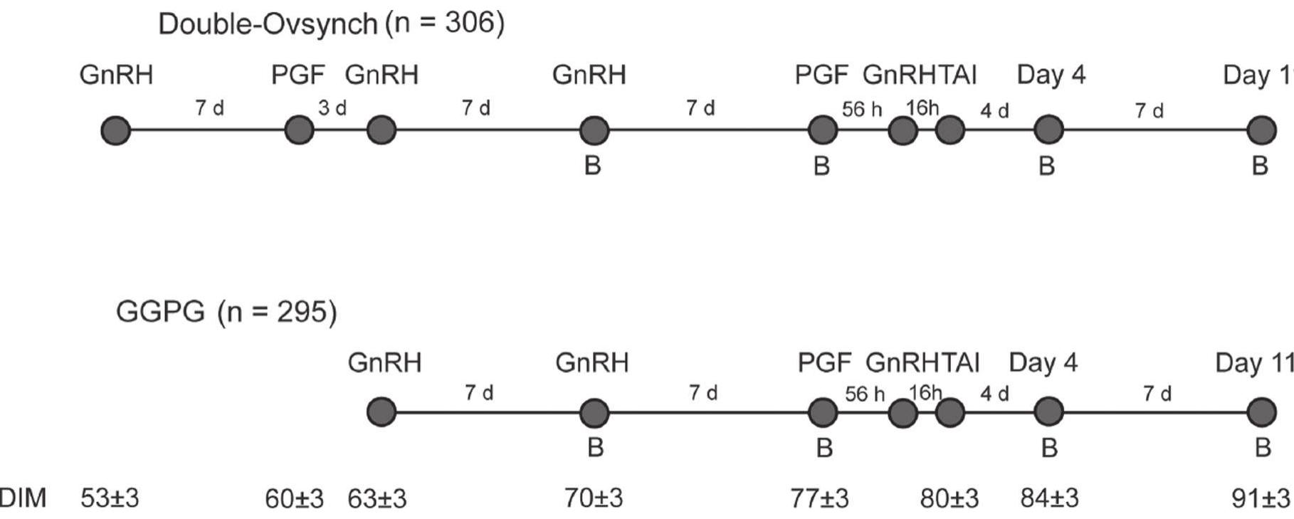 Schematic representation of the synchronization protocols.
