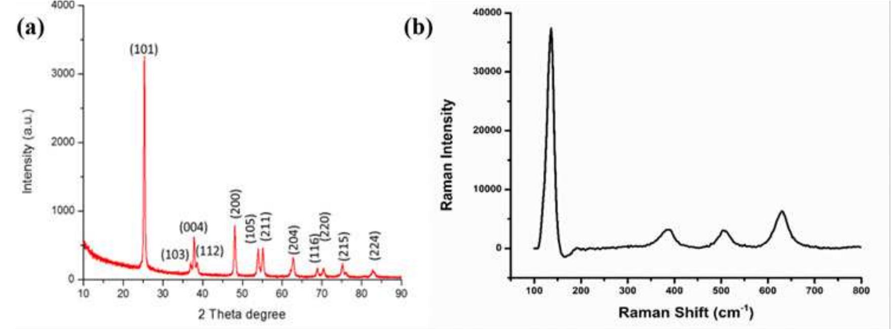(a) xrd pattern of tio, nps and (b) raman spectra of tio,