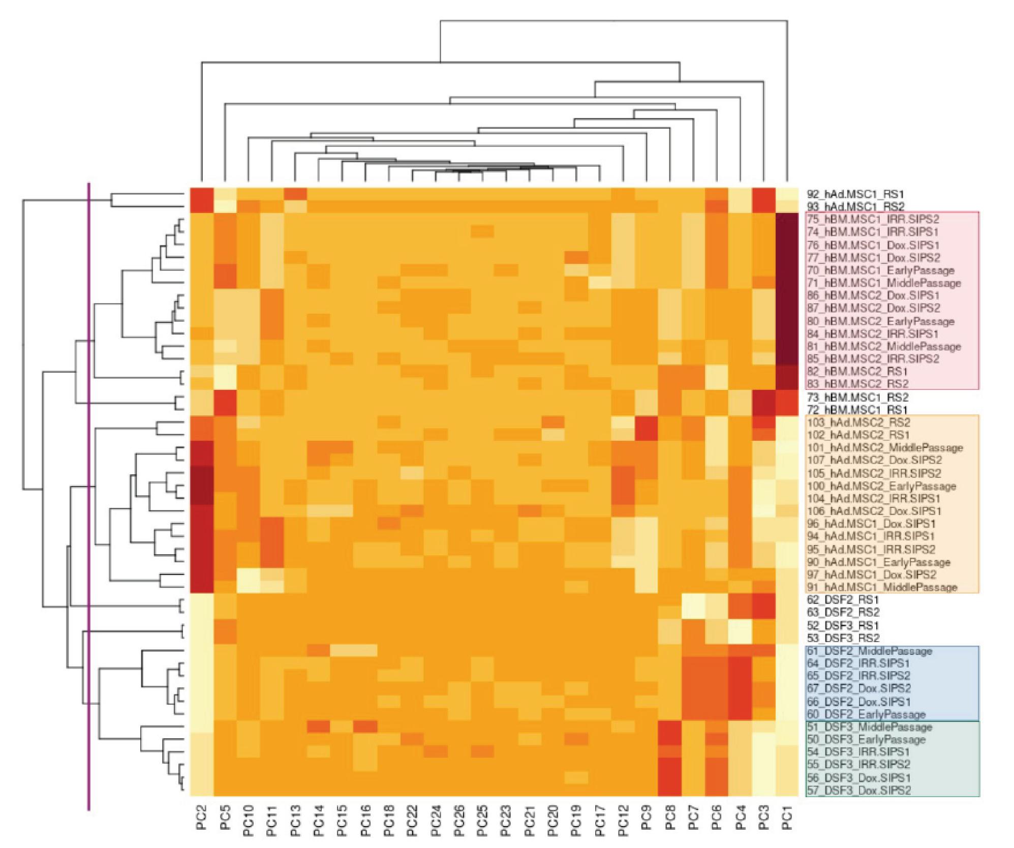 Heat map of principal component analysis (pca) of dna