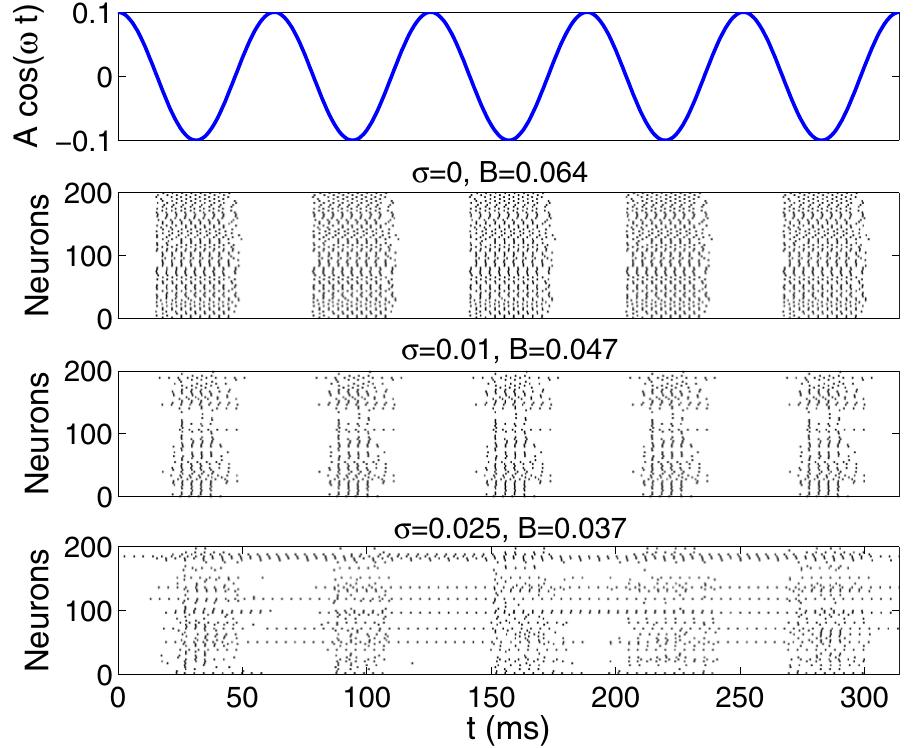Space-time plots of typical patterns of network activity for