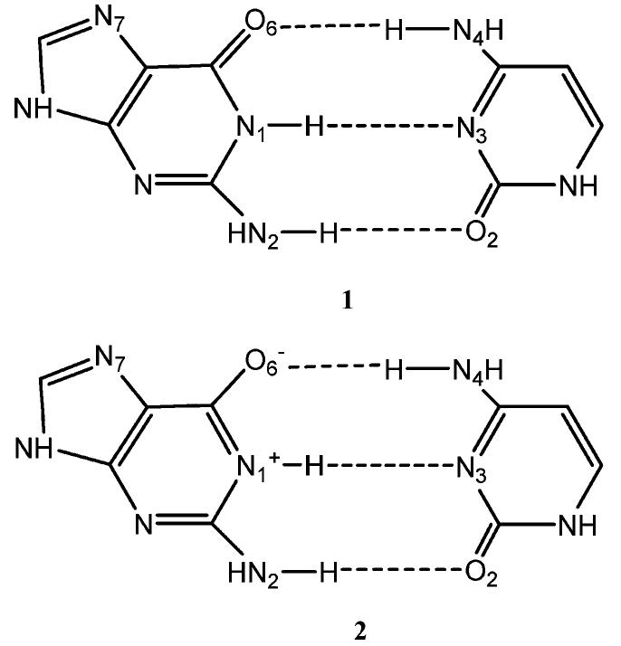 Schematic representation of the charge trans- fer in gc base