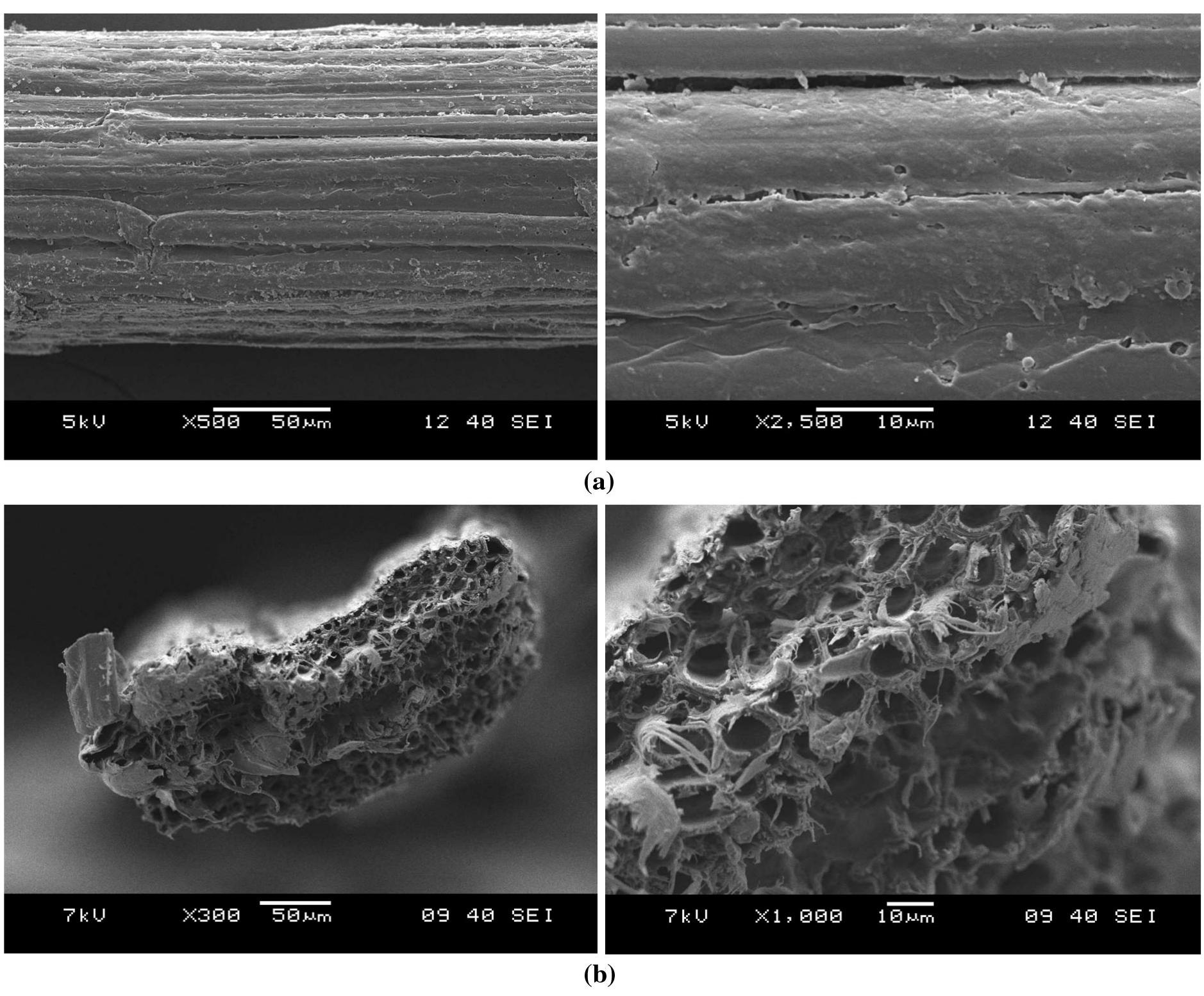 A the longitudinal and b cross-sectional sem images of the