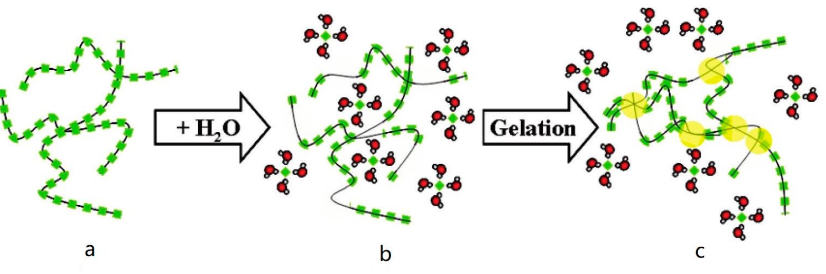 Nmr-based illustration of the mechanism of water-induced