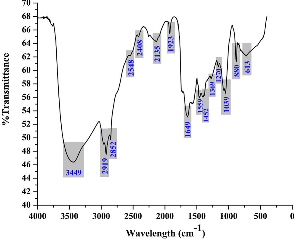 Ftir spectra of ppe extract.
