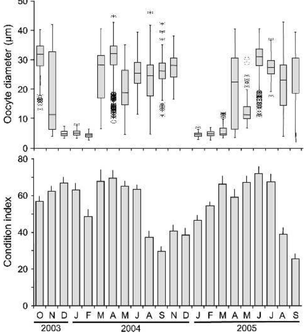Box and whisker plots of oocyte diameter — = median, box