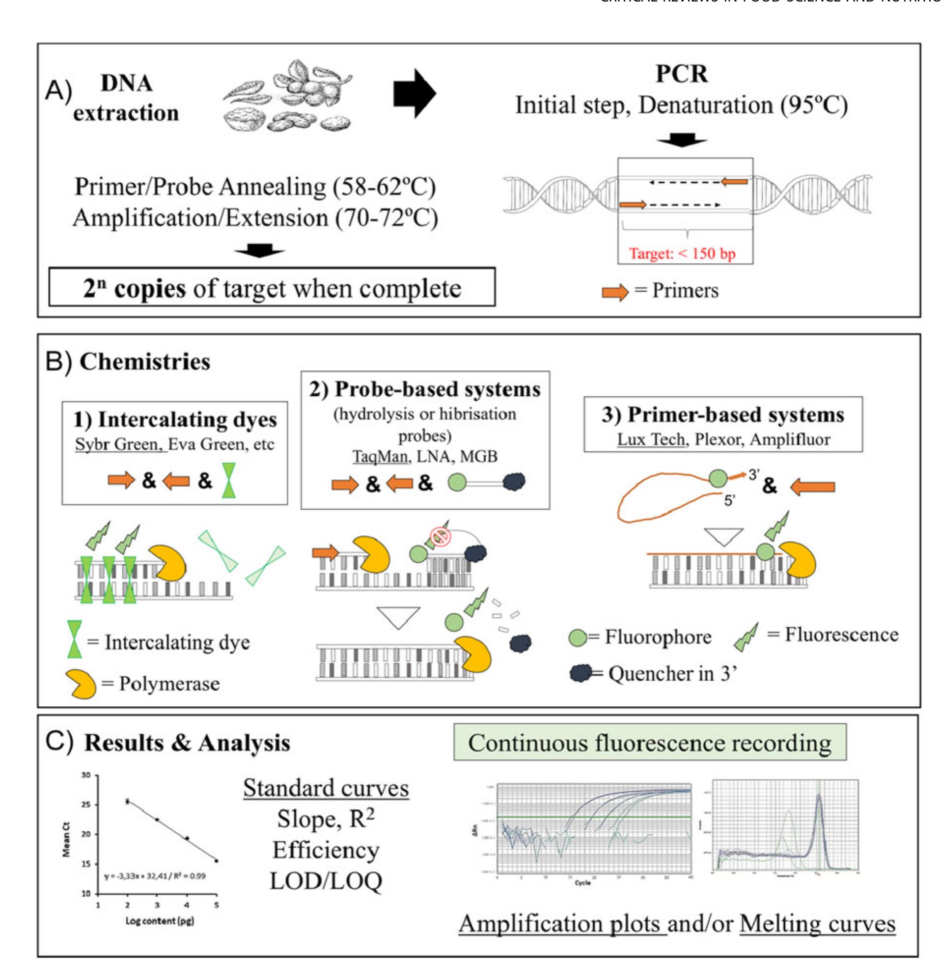 Schematic representation of a real time pcr experiment and