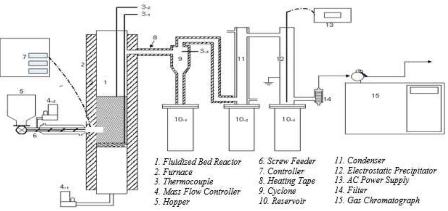Schematic diagram of the bubbling fluidized-bed reactor the