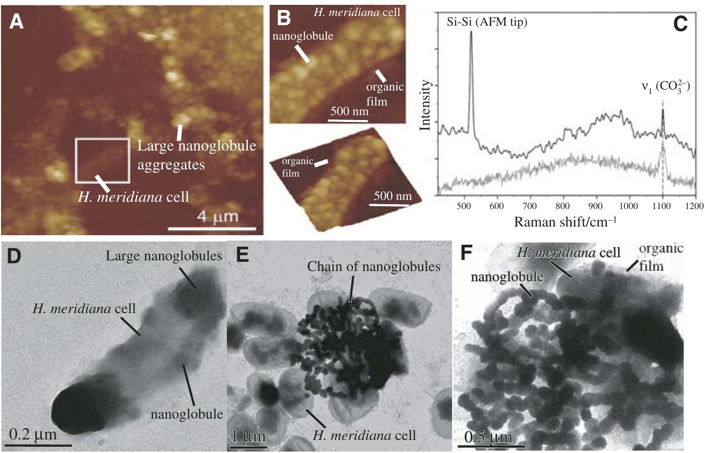 Atomic force microscopy (a, b), raman spectra (c), and