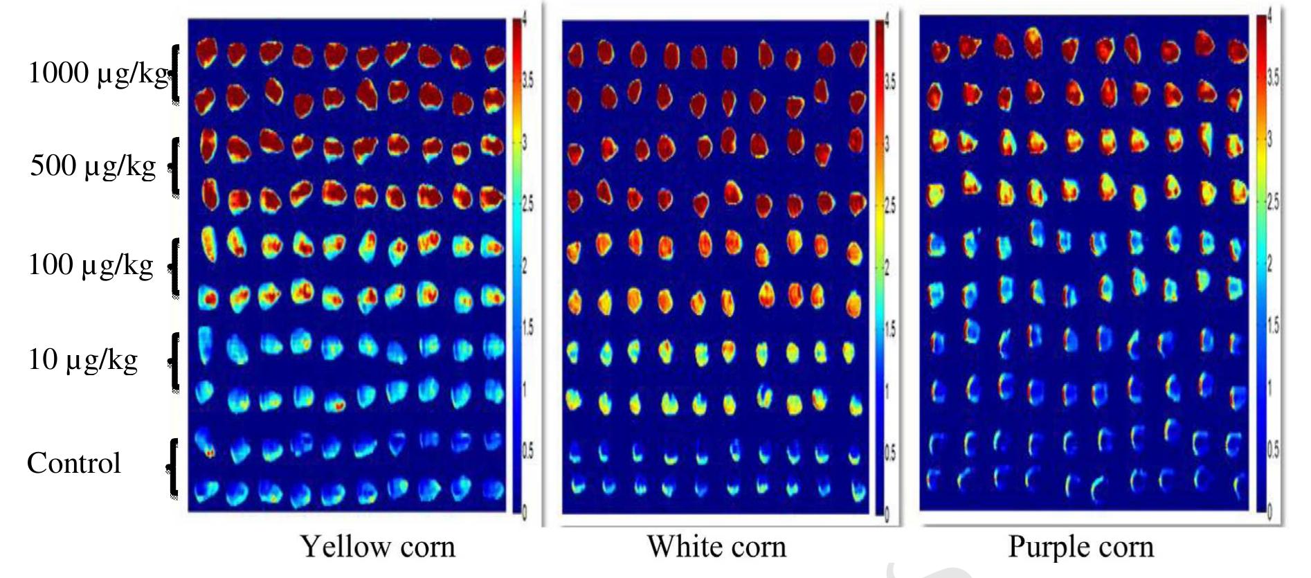 Contamination map of the pls-da model for corn samples [103]