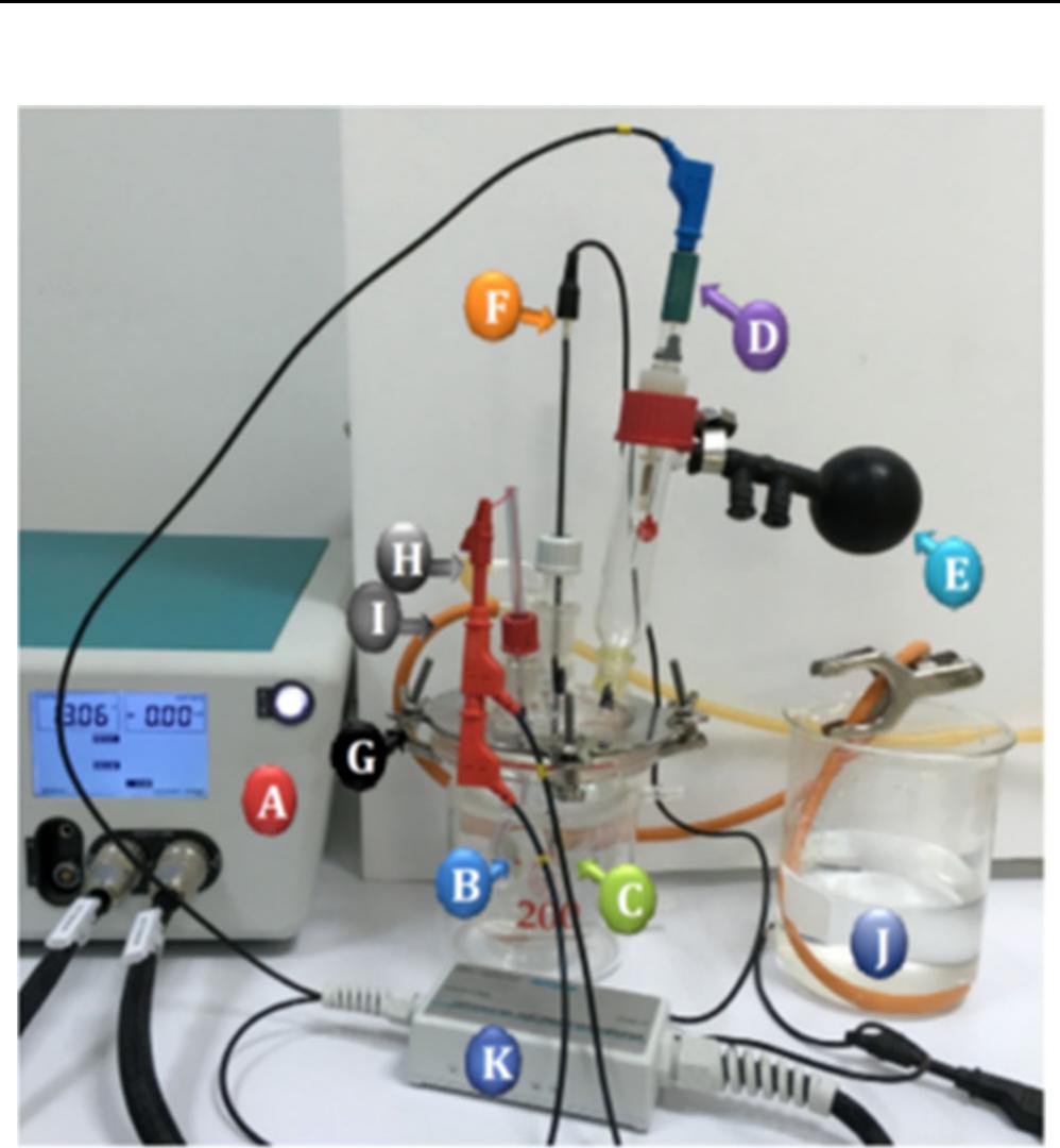 An assembly outlining the electrochemical testing set up