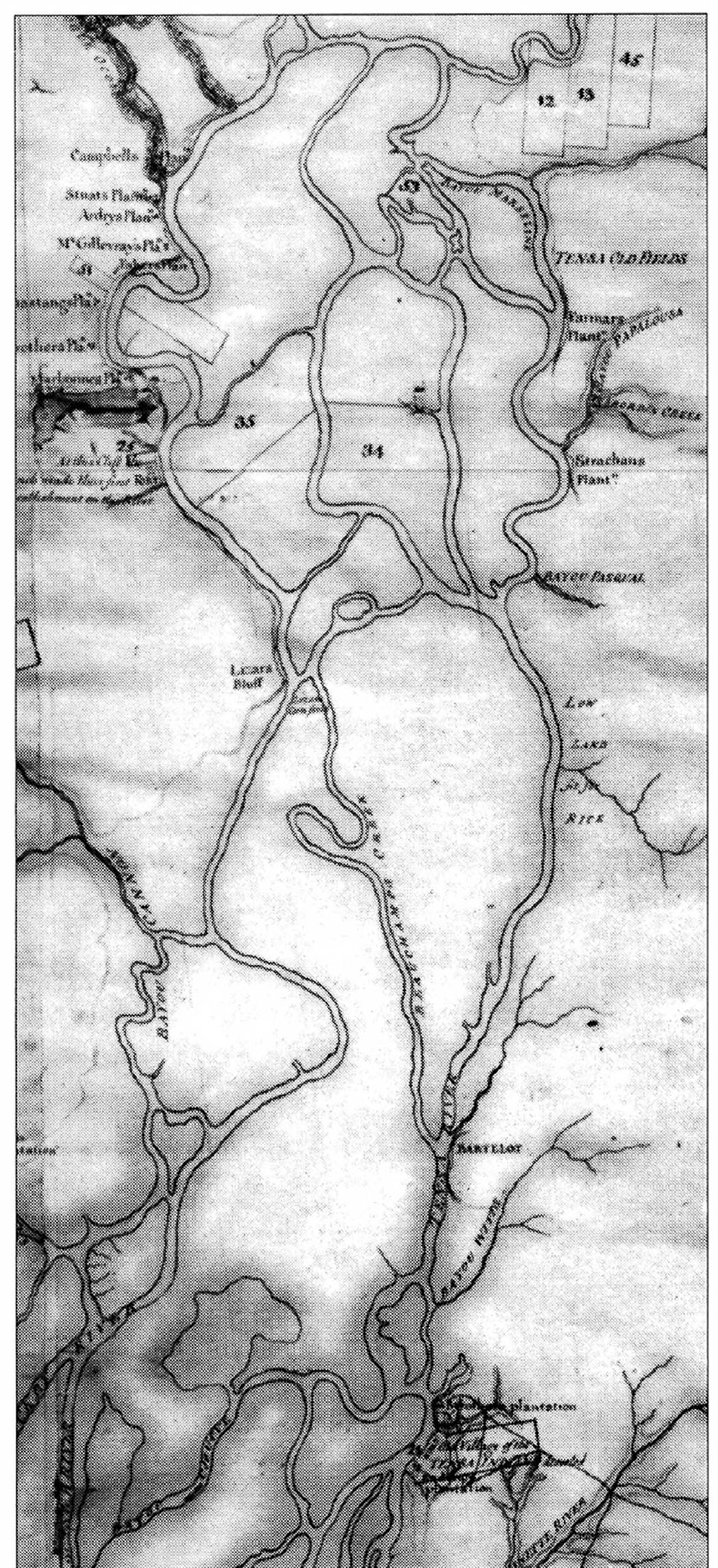 Detail of "land granted and surveyed on the river and bay of