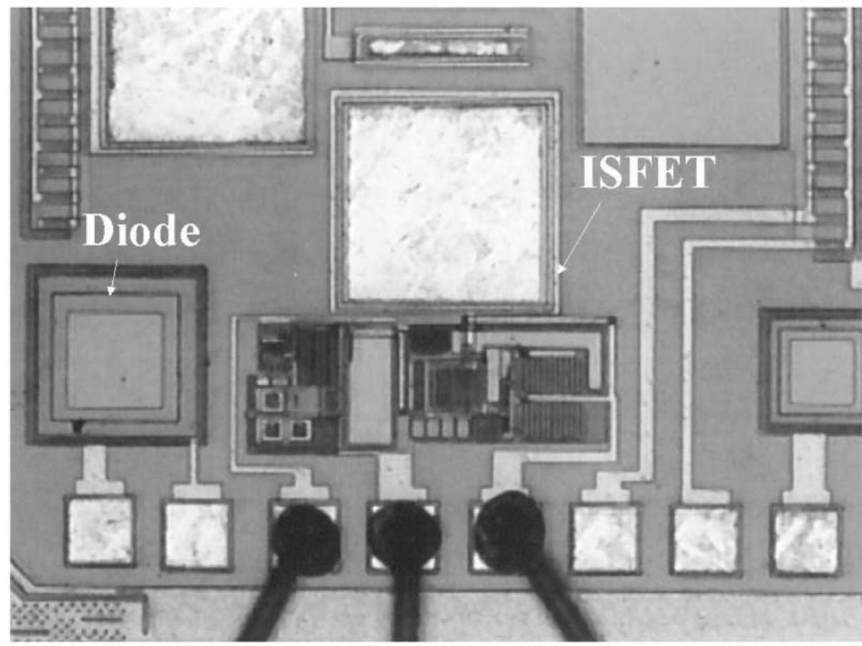 Layout diagram of the ph-isfet chip.