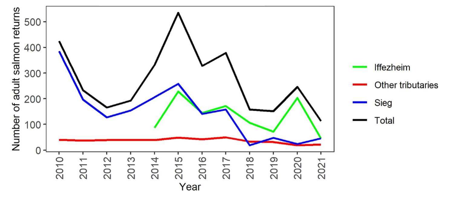 Note: the numbers in this table are an indication of the