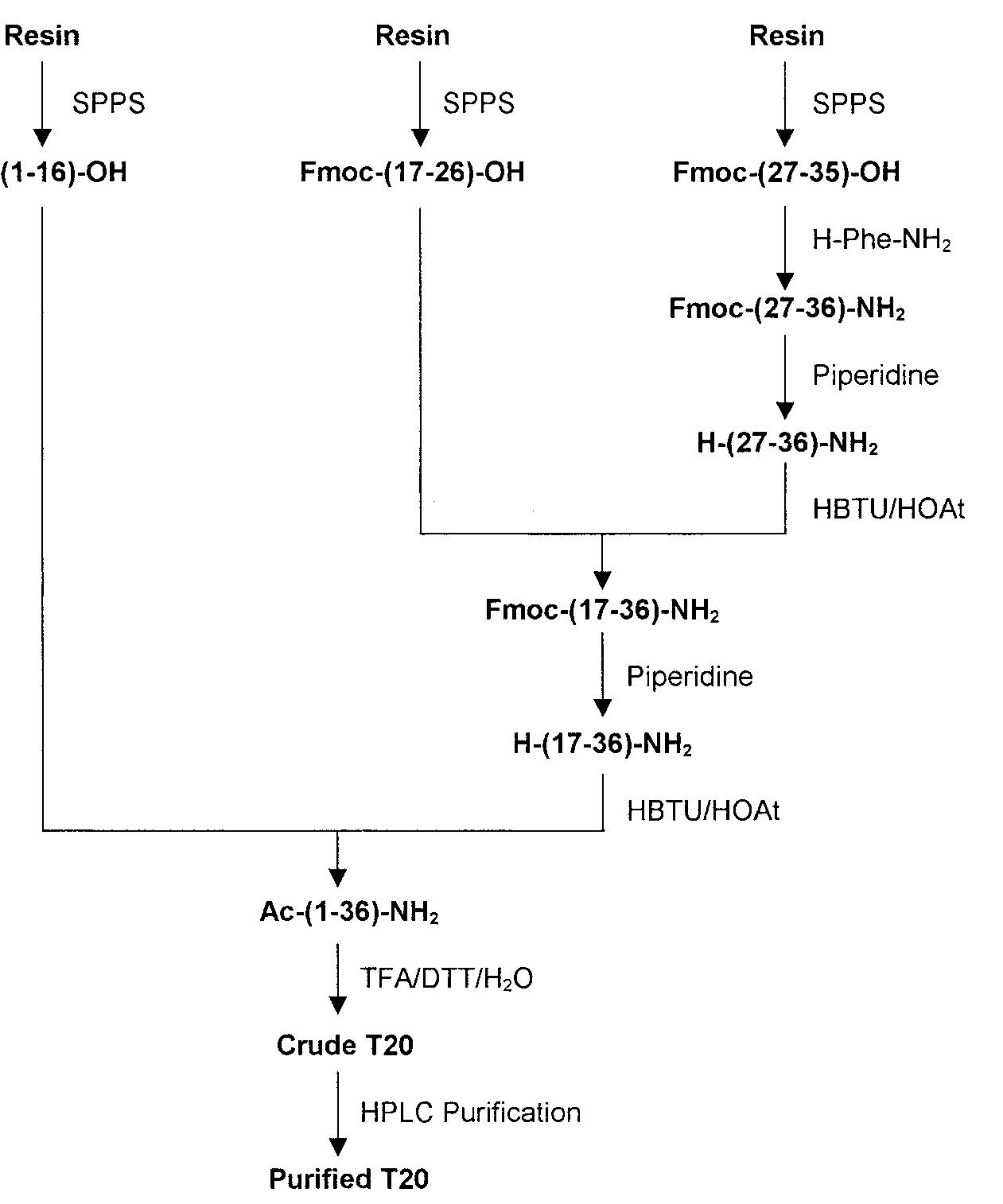 Outline of the synthesis of t20 drug substance.