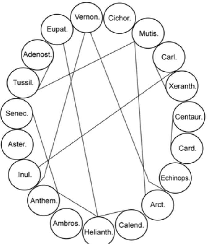 Diagram according to cassini [15] showing the