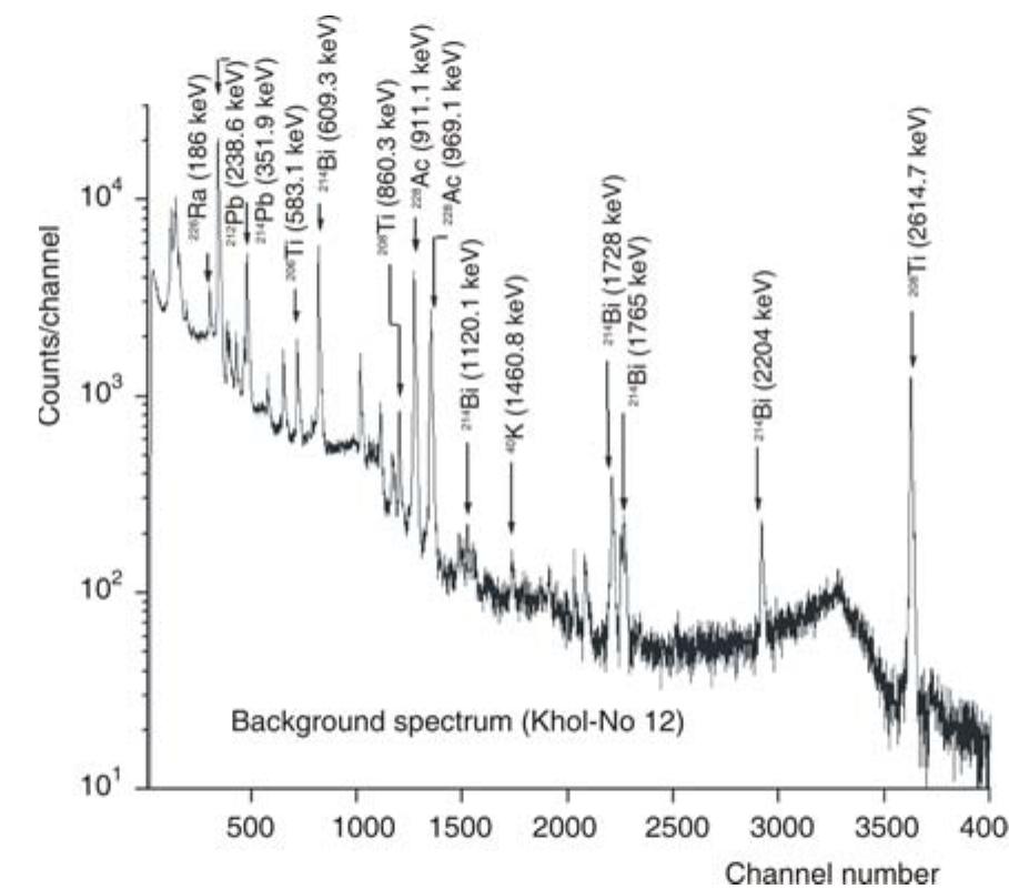 Gamma ray spectrum of a selected khol sample with the