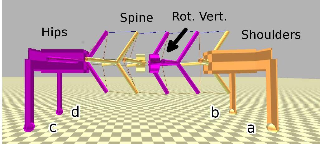 Model of laika and its spine in the nasa tensegrity robotics