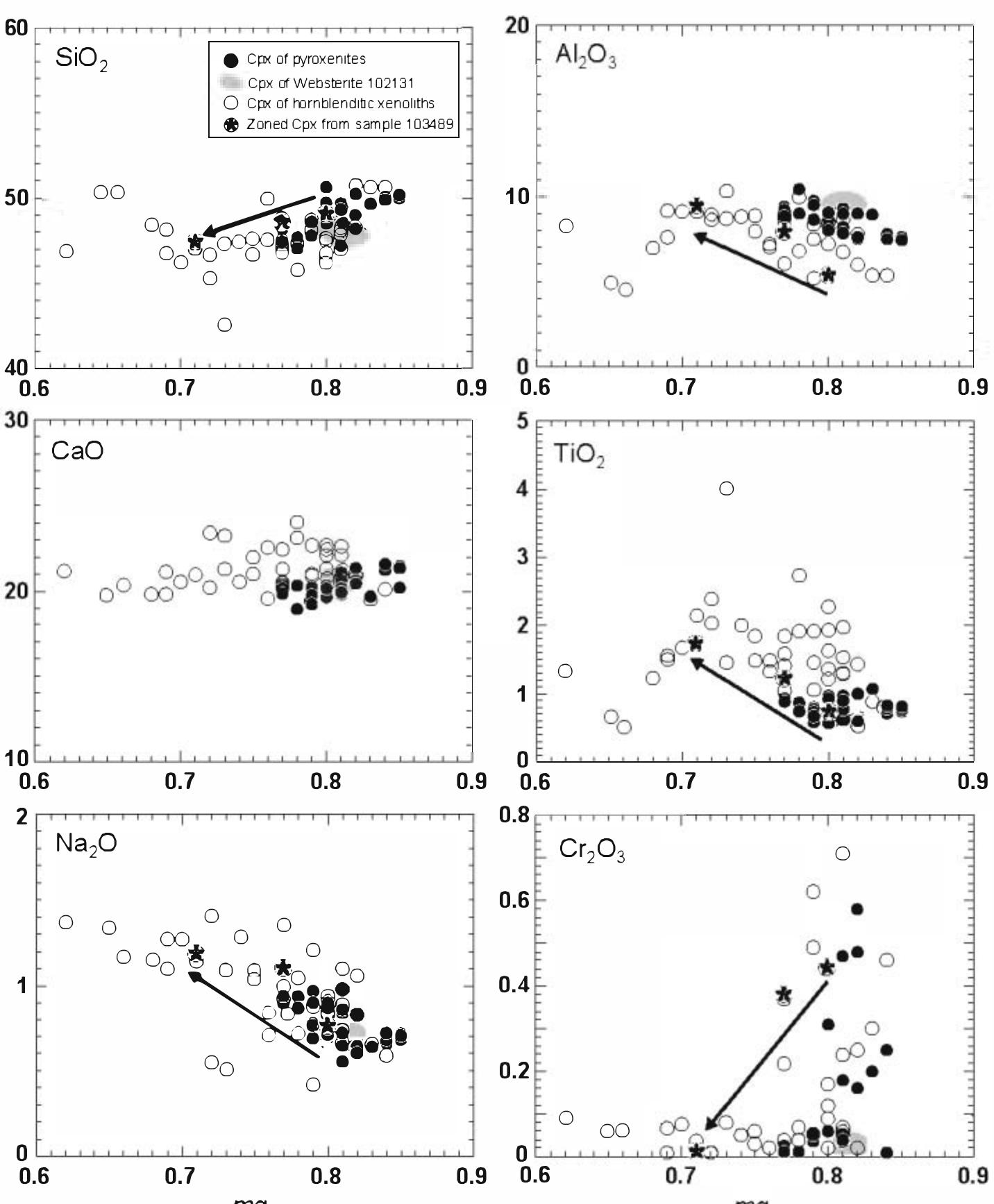 Variation diagrams for major element compositions of