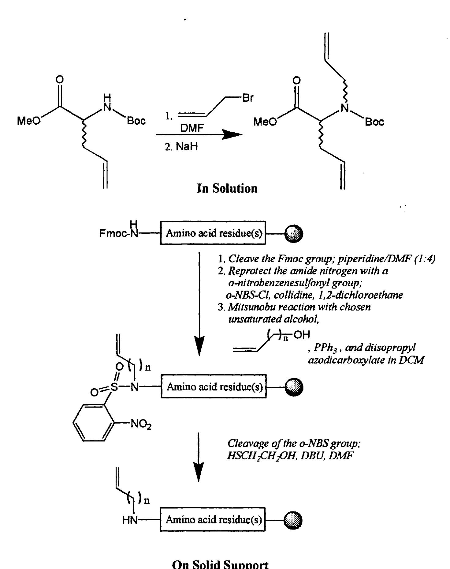 Introduction of an alkene side chain to an amide nitrogen in