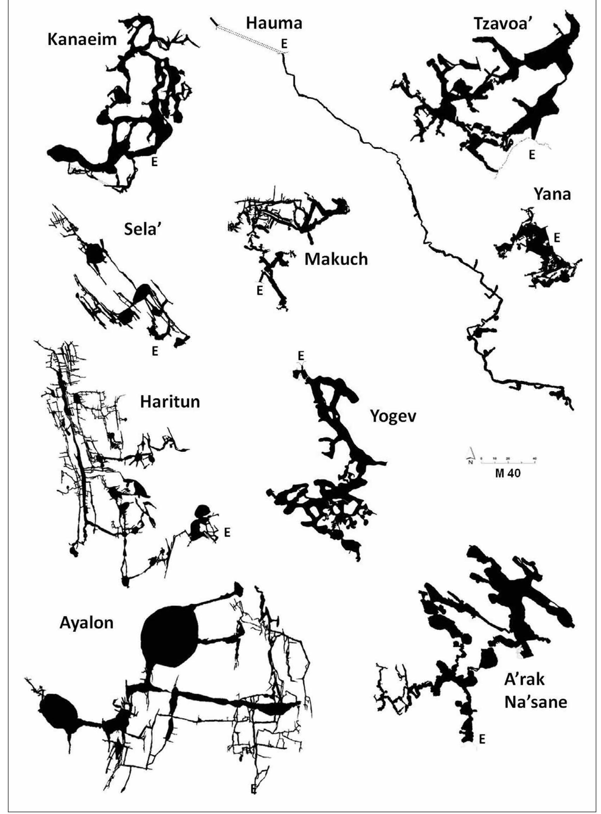 Maps of the largest limestone caves of israel. levels are