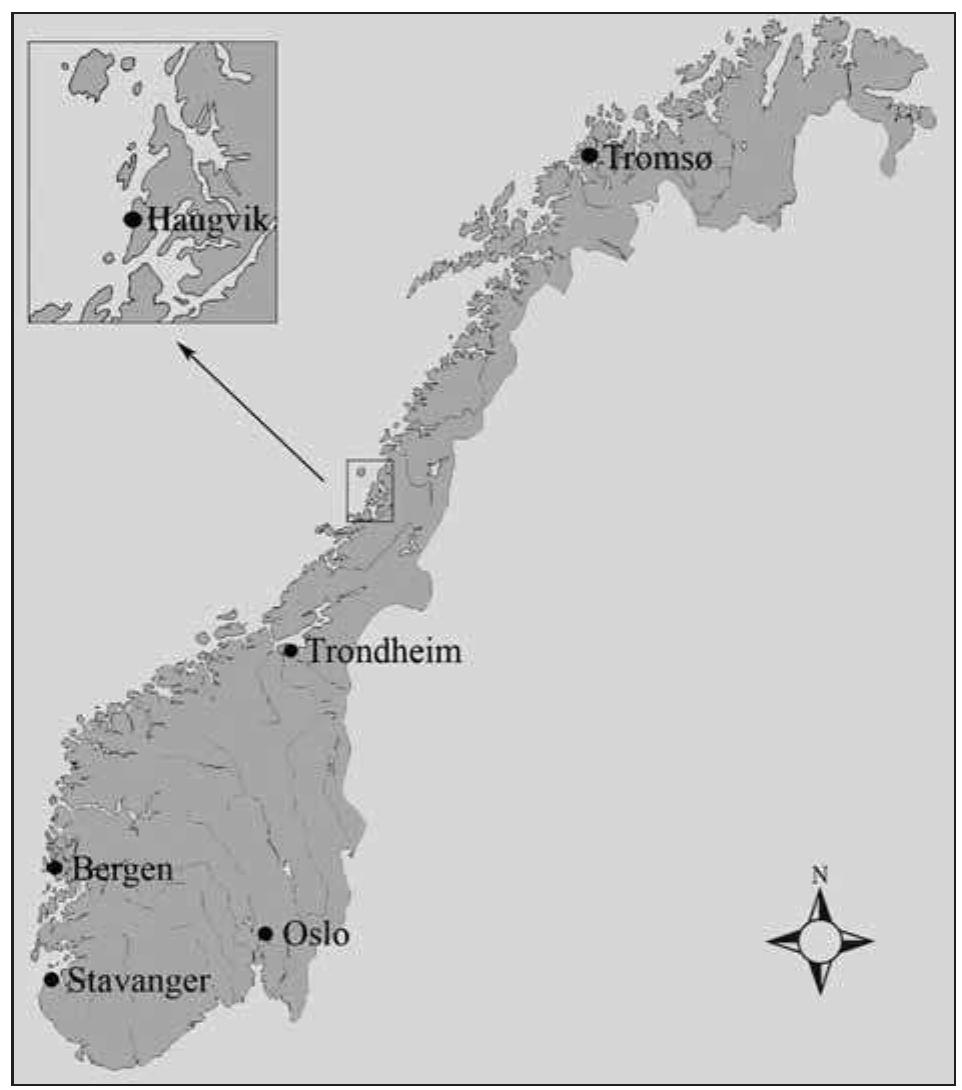 Figure 1 - from The Haugvik Boat - A Pre-Roman Iron Age boat