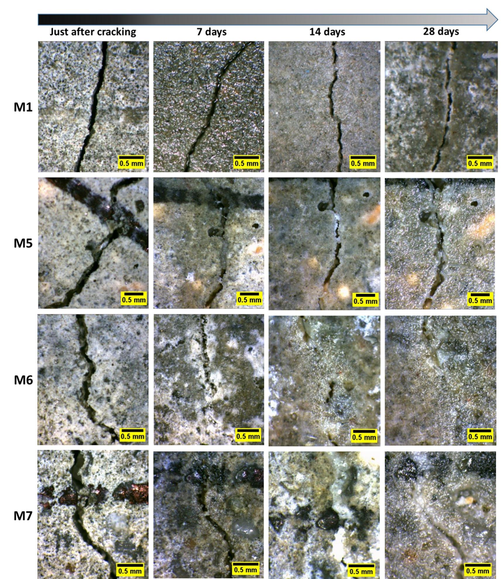 Typical optical microscope images of the crack sealing