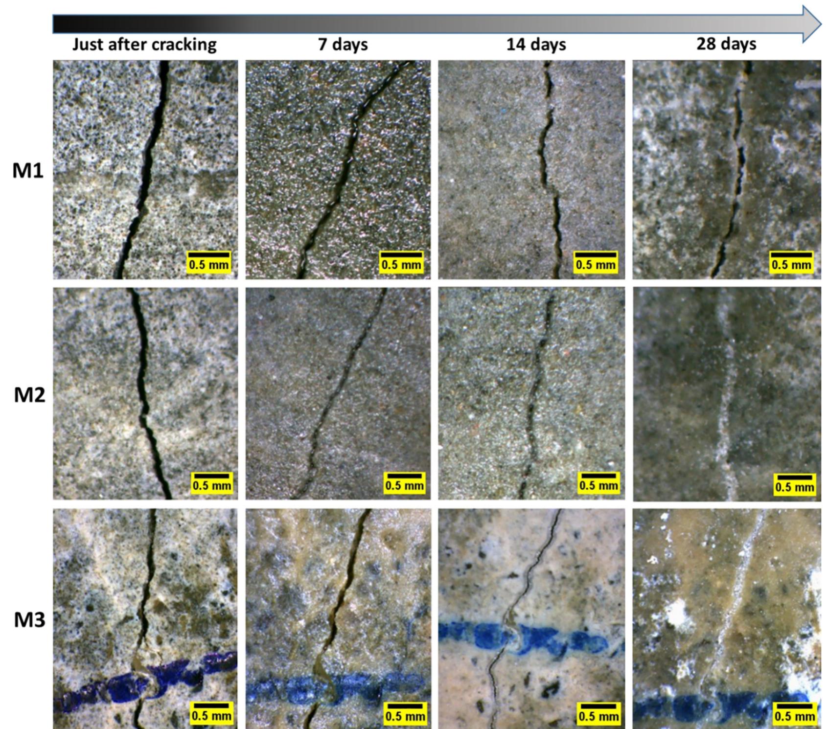Typical optical microscope images of the crack sealing