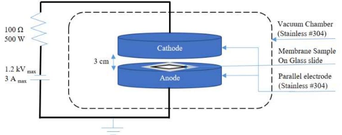 Schematic diagram of the membrane sample placed on the anode