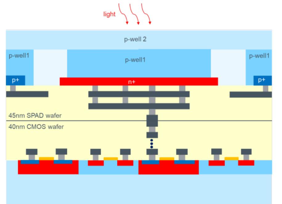 Shows a schematic cross-section of the developed 12.5-um