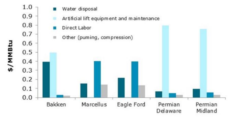 Evolution of shale gas wellhead production costs over the