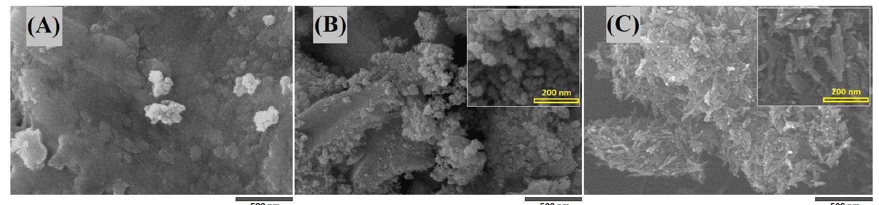 Figure 2 - from Synthesis of ZnO nanostructures with