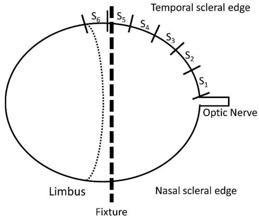 Ficure 4. schematic of locations for scleral thickness