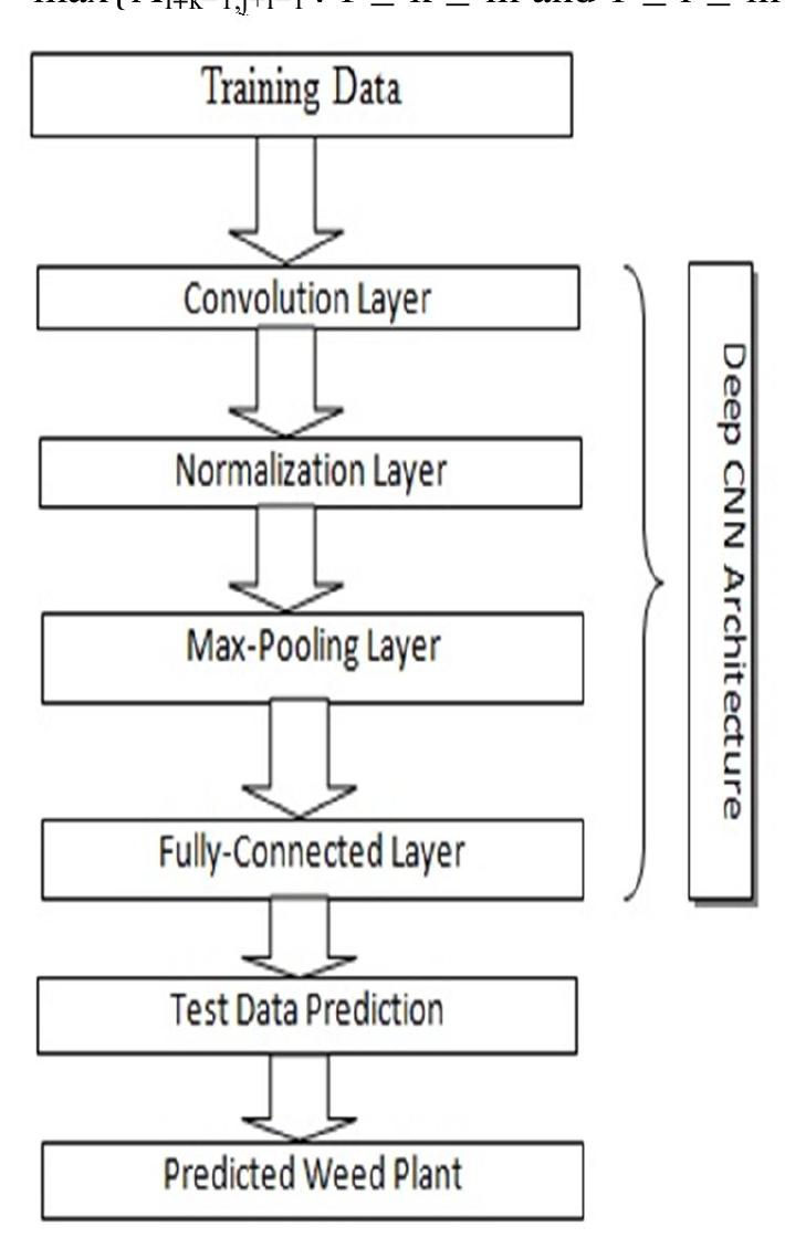 Deep learning algorithms for weed identification