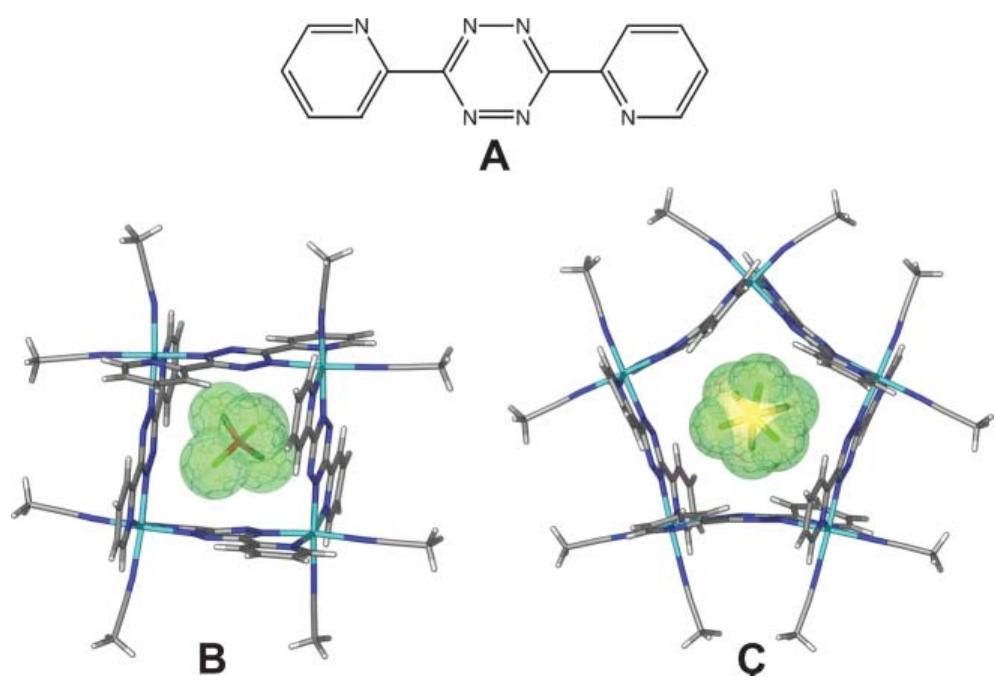 (a) schematic drawing of bptz in the anti orientation;