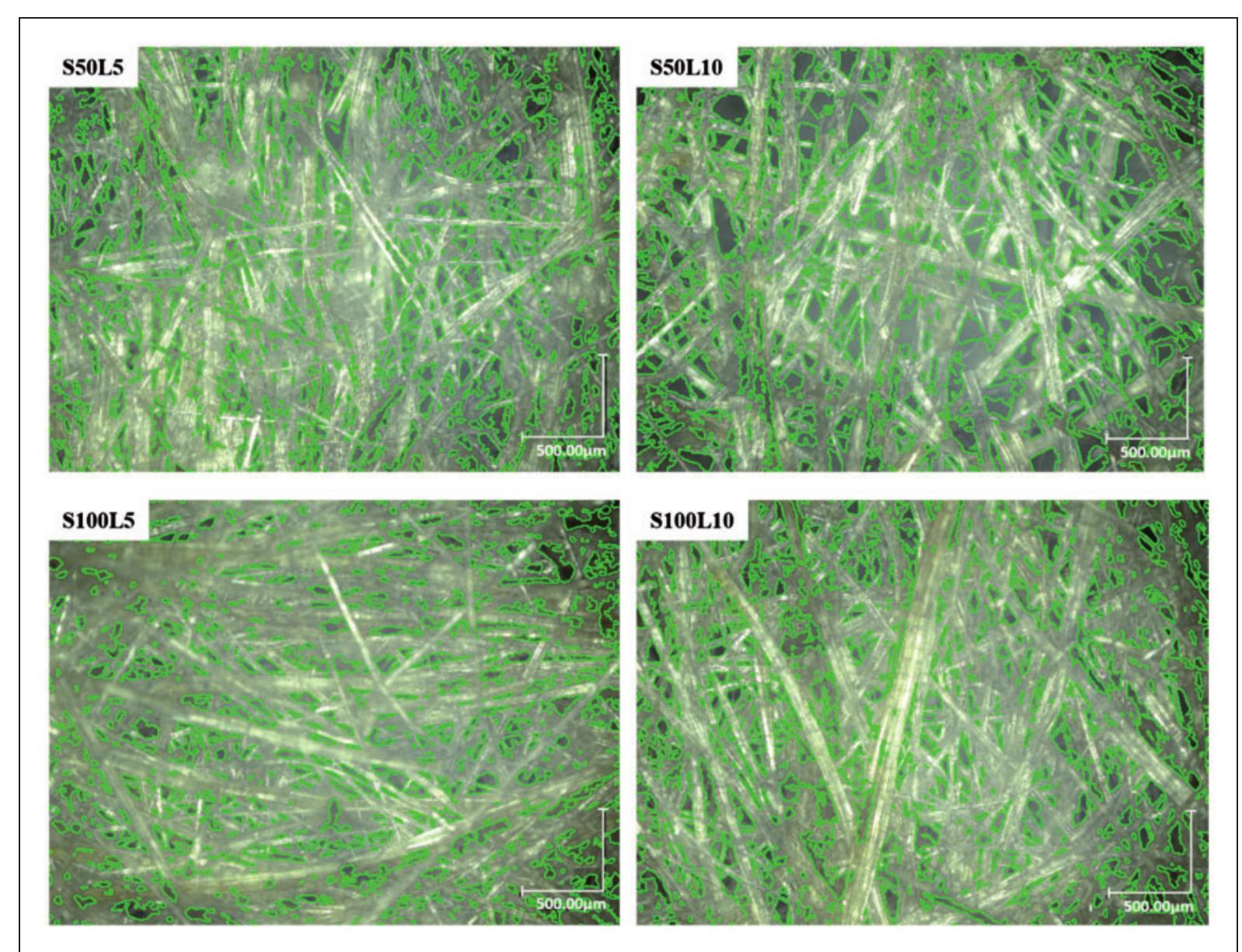 In-plane porosity detection by microscopic image analysis.