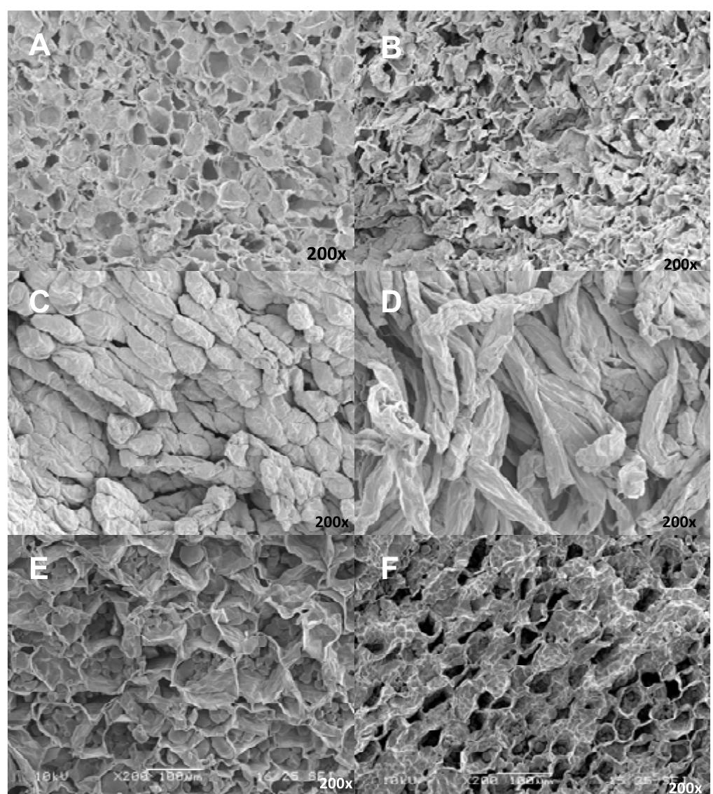 (PDF) Sweet Potato: Production, Morphological and Physicochemical ...