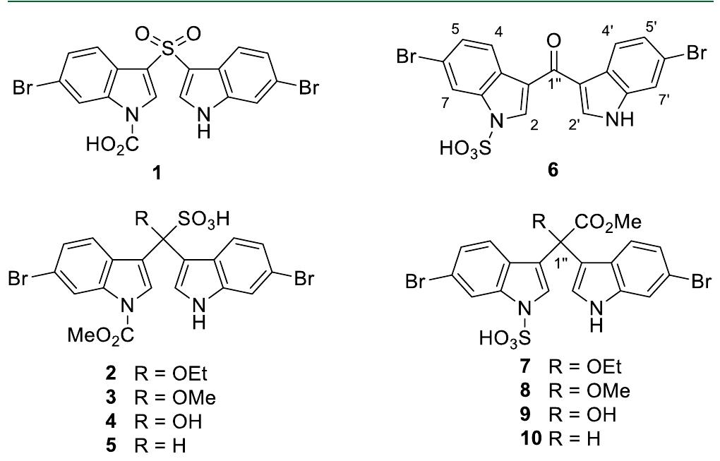 Original (1) and reassigned (6) structure of echinosulfone a