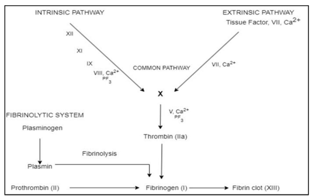 Figure 1 - from A Comprehensive Review of Currently
