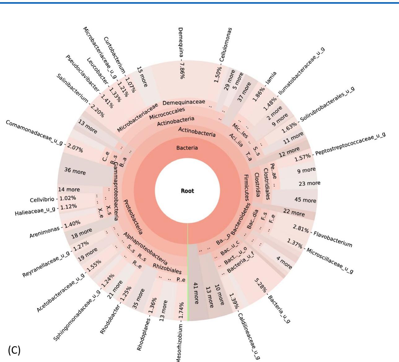 Sunburst chart analysis depicted the genus level relative