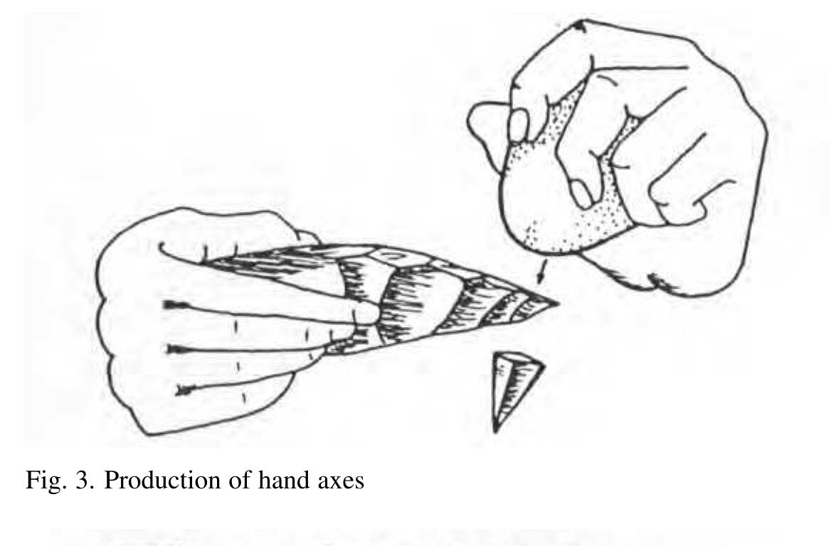 Already during the lower paleolithic period, the hominids