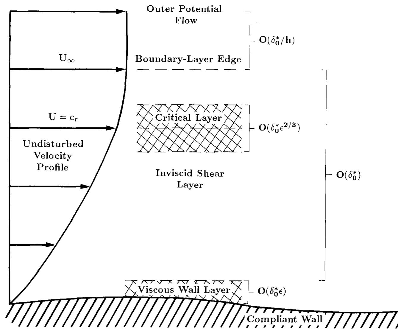 Schematic sketch of the multideck structure of the blasius