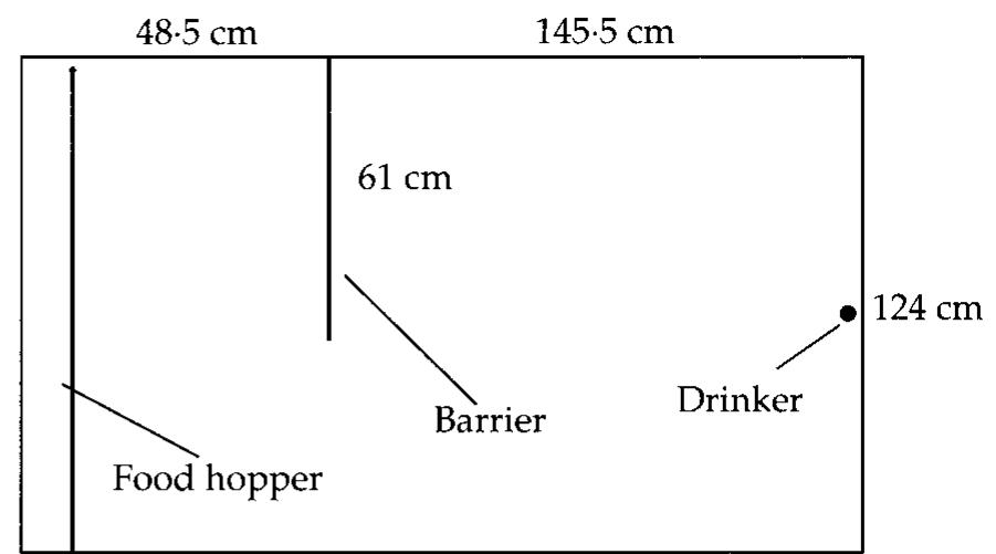 A plan of the flat-deck cage showing the position of the