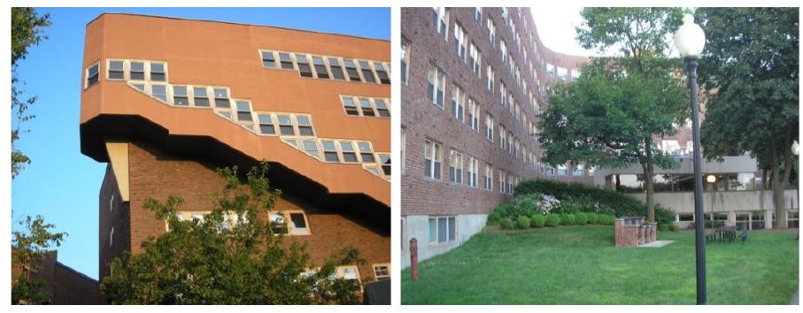 Figure 4 - Principles of Organic Architecture in buildings