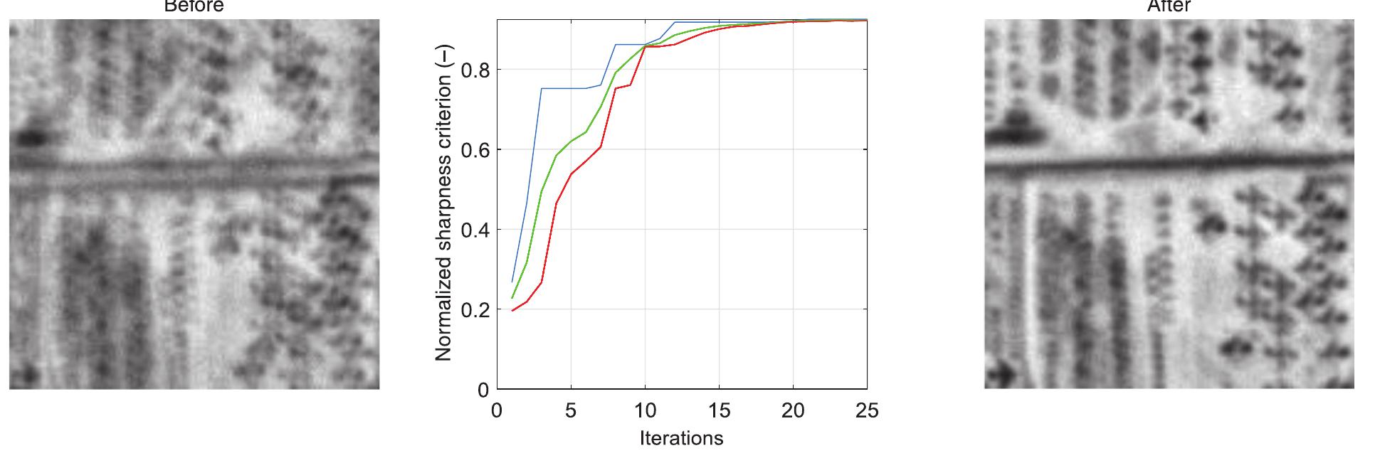 Co-alignment using a nelder-mead simplex method. the blue,