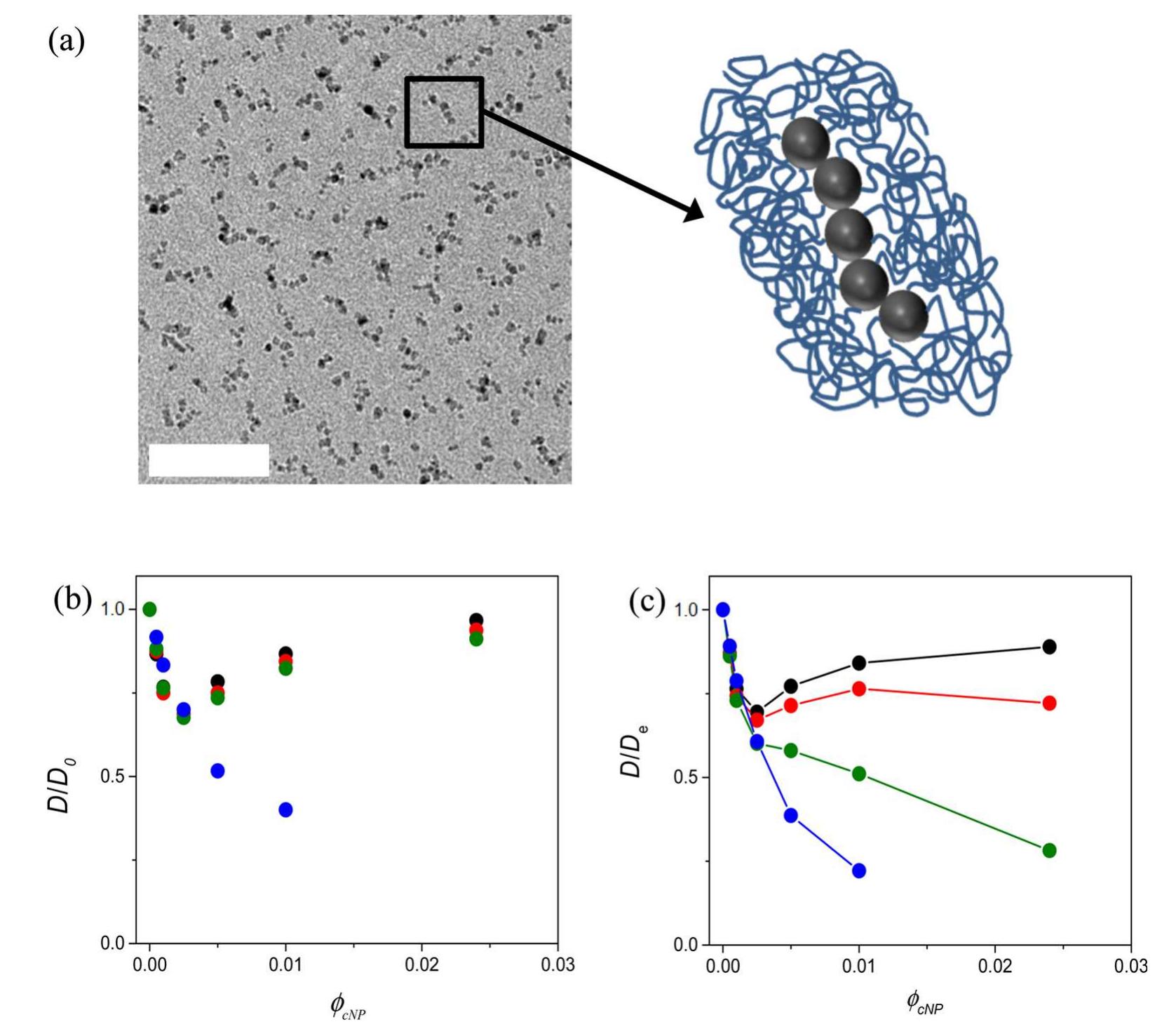 (a) tem image of neat cnp showing the morphology of the