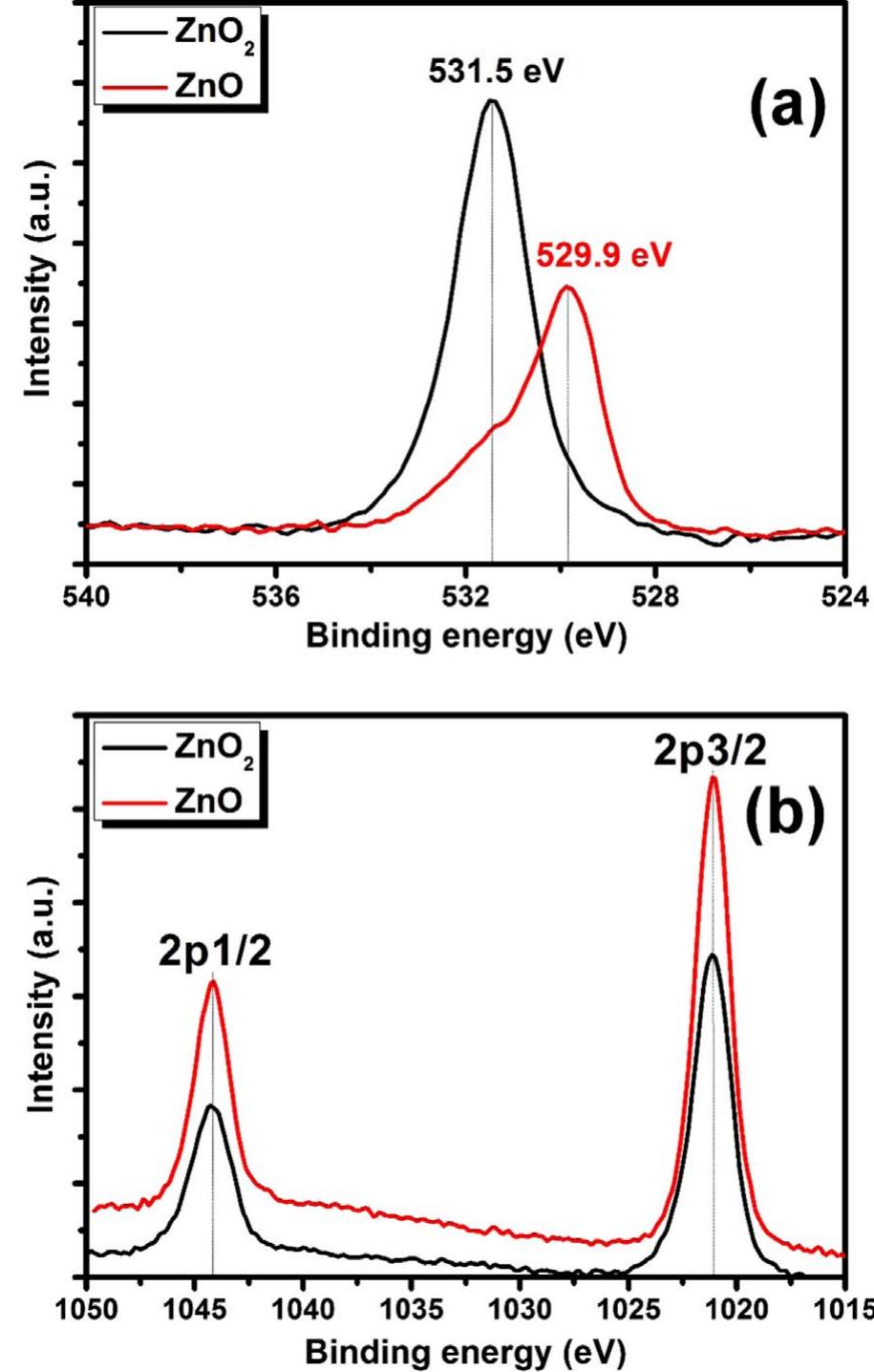 Ols (a) and zn2p (b) xps spectra of as-synthesized zno2 nps