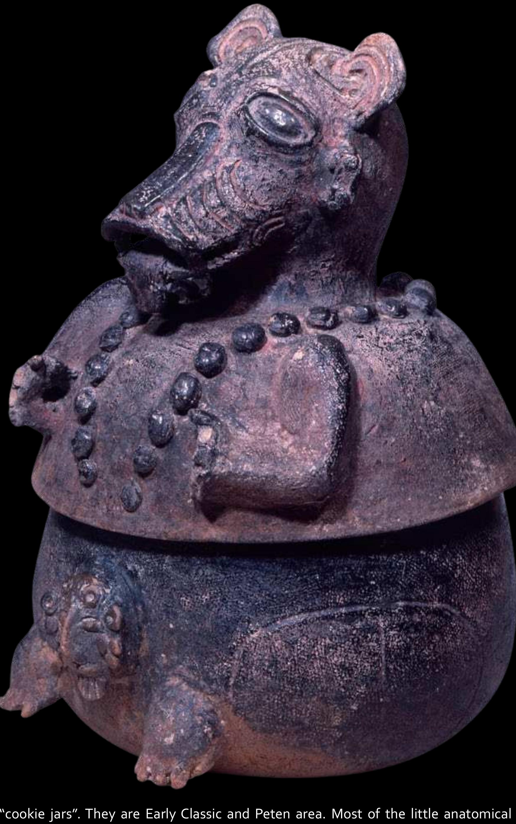 Figure 4 - Maya Dogs in Classic Maya Art: Skin Wrinkled and