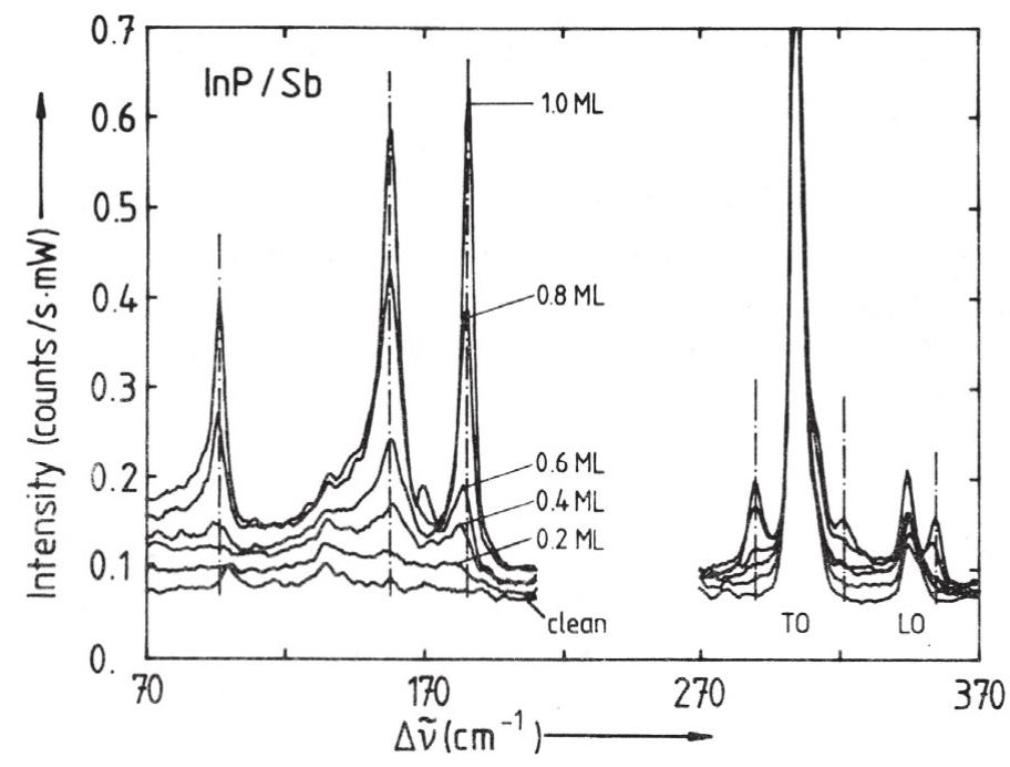 Raman spectra of sb on inp(110) for various coverages up to